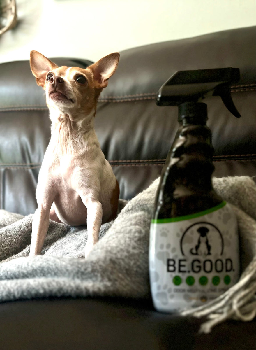 Be.Good. Odor Eliminator Spray for Pets | Scent Assassin